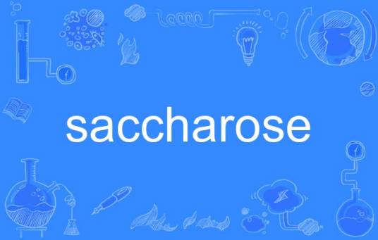 saccharose_百度百科