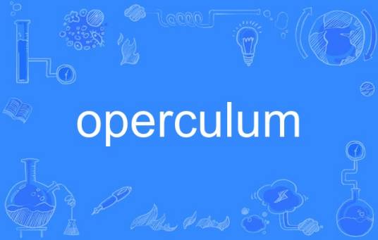 operculum（英语单词）_百度百科