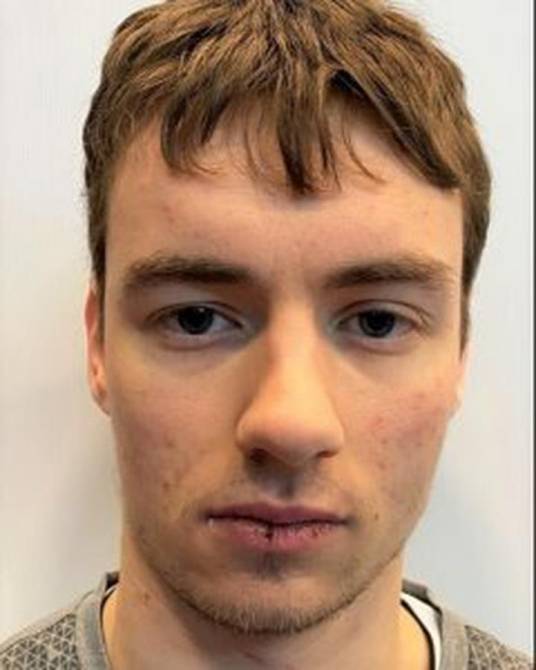 BETHELL Daniel_百度百科