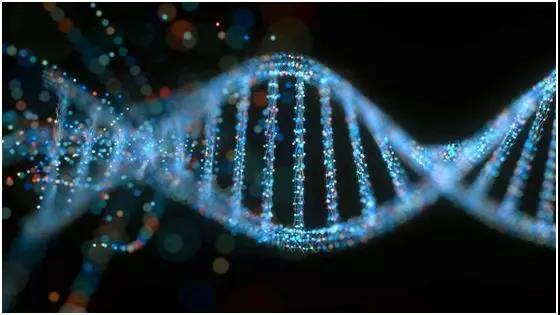 神奇的DNA，28年前的南医凶杀案，是如何告破的？_百科TA说