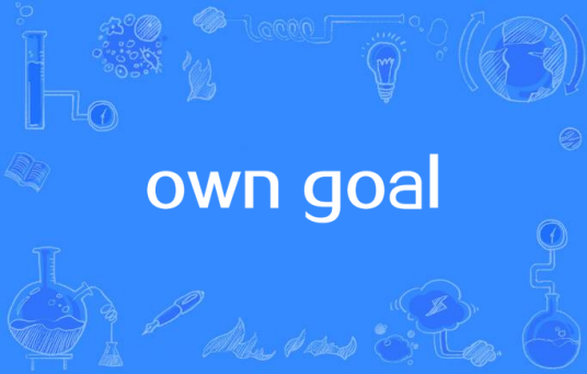 own goal_百度百科