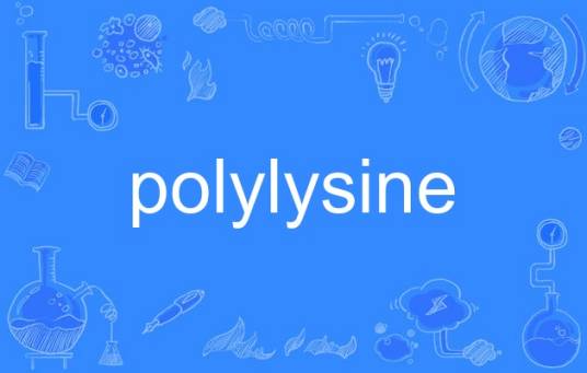 polylysine_百度百科
