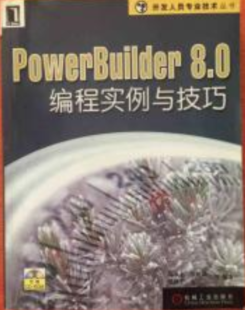 PowerBuilder8.0编程实例与技巧（附光盘）_百度百科
