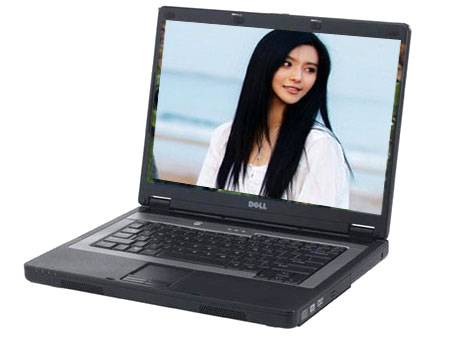 戴尔Inspiron 1300(N510601)_百度百科