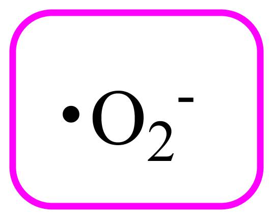 超氧自由基_百度百科