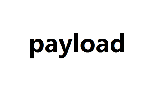 payload_百度百科