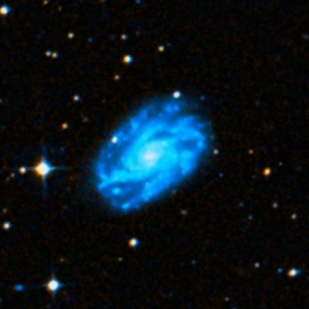 凤凰座（天文学星座）_百度百科