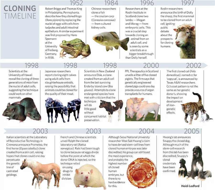 动物克隆庄园：从多莉羊到克隆猴_百科TA说