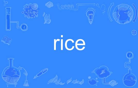 rice（英语单词）_百度百科