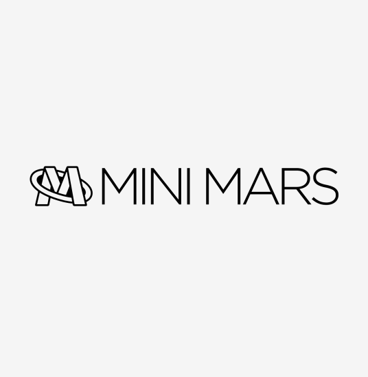 MINI MARS_百度百科