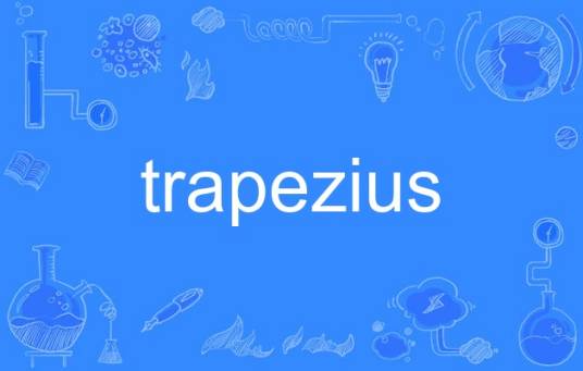 trapezius_百度百科