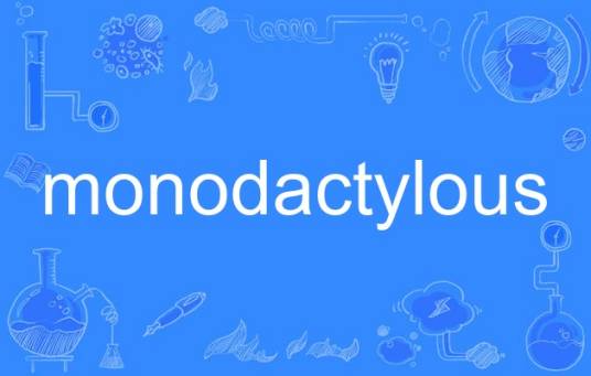 monodactylous_百度百科