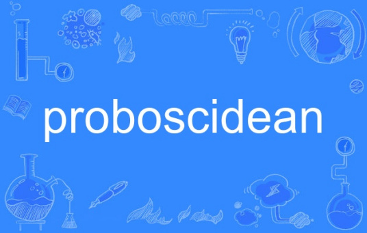 proboscidean_百度百科