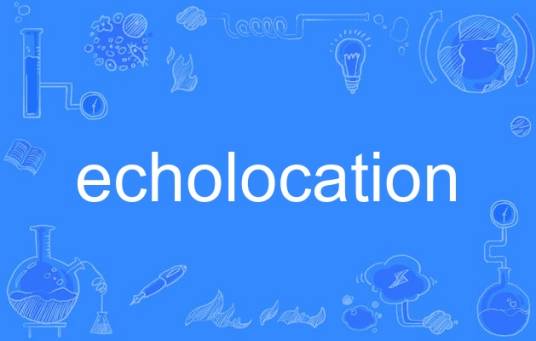 echolocation_百度百科