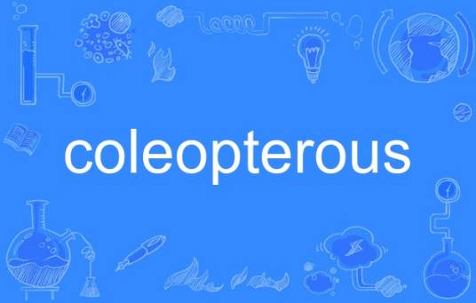 coleopterous_百度百科