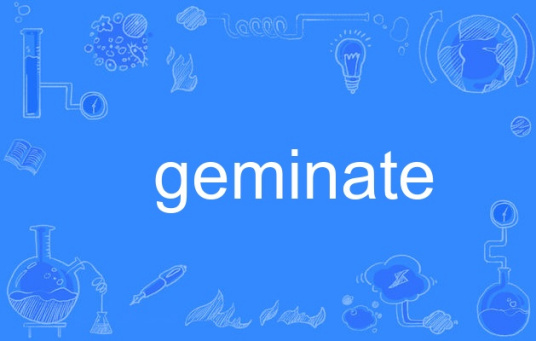 geminate_百度百科