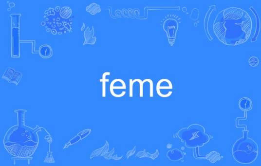 feme_百度百科