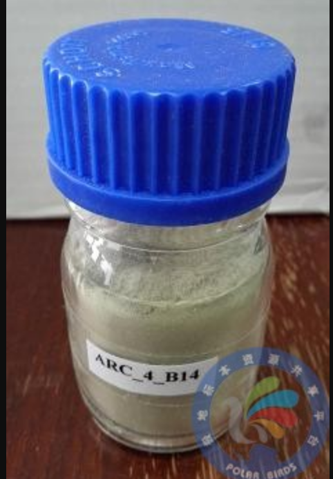 4次北极考察表层沉积物ARC4_B14_百度百科