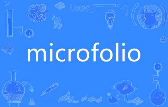 microfolio_百度百科