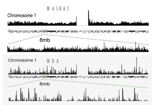 MALBAC技术_百度百科