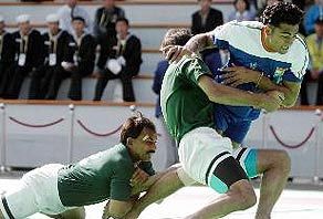 卡巴迪_百度百科