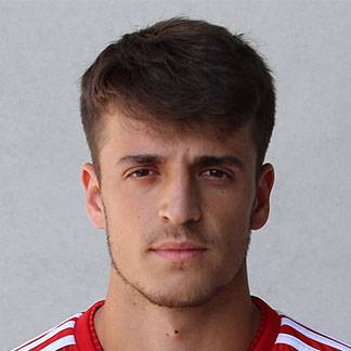 Daniel Jelisic_百度百科