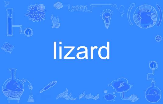 lizard（英文单词）_百度百科