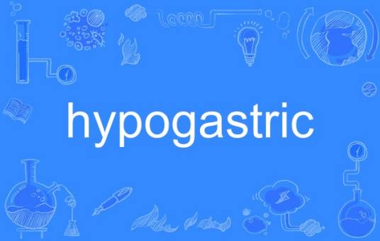 hypogastric_百度百科
