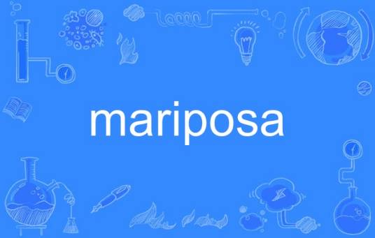 mariposa（英语单词）_百度百科