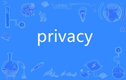 Privacy（英语单词）百度百科