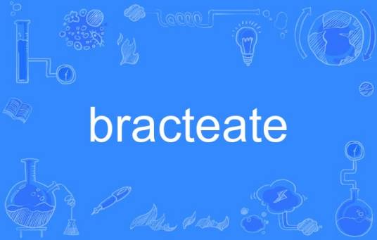 bracteate_百度百科