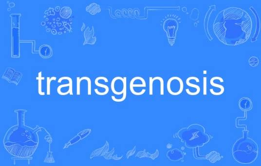 transgenosis_百度百科