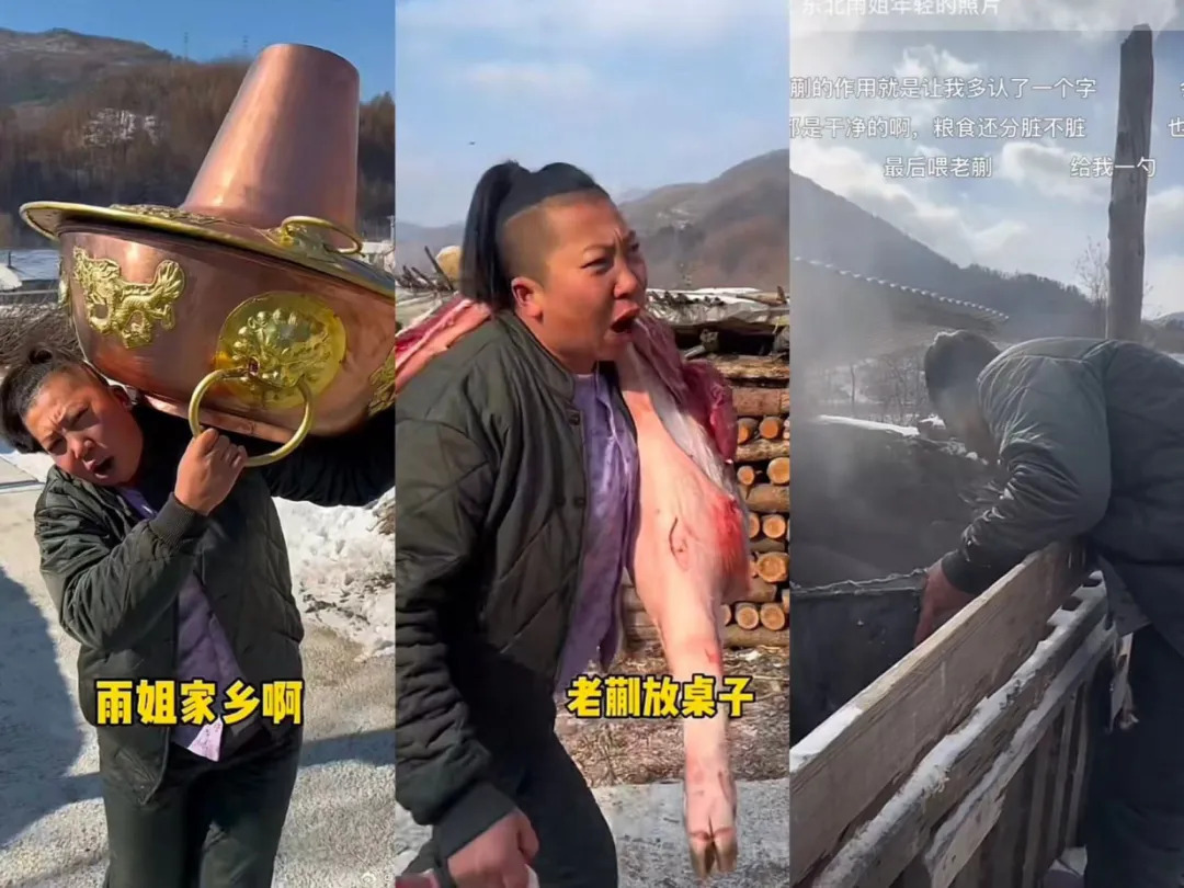 东北雨姐_百度百科