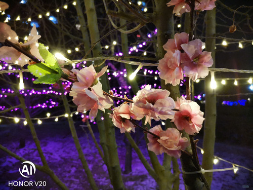 荣耀V20拍照体验：4800W像素全场景适应_百科TA说