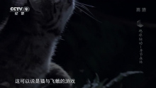 中央电视台纪录频道_百度百科