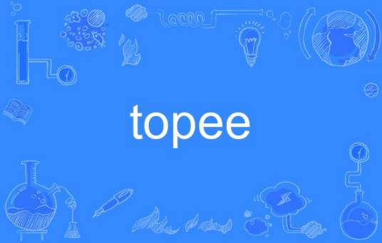 topee_百度百科