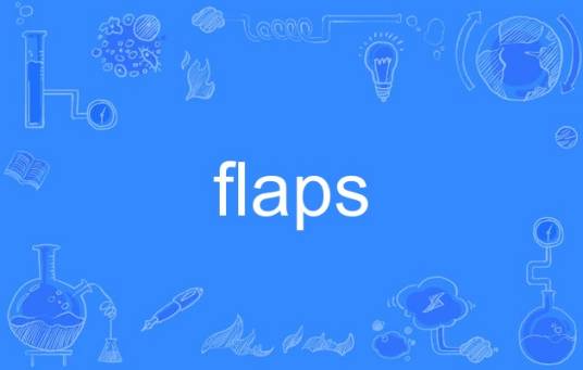 flaps_百度百科