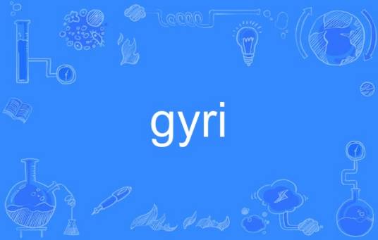 gyri_百度百科