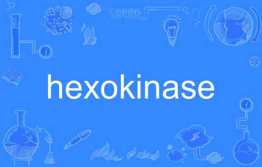 hexokinase_百度百科