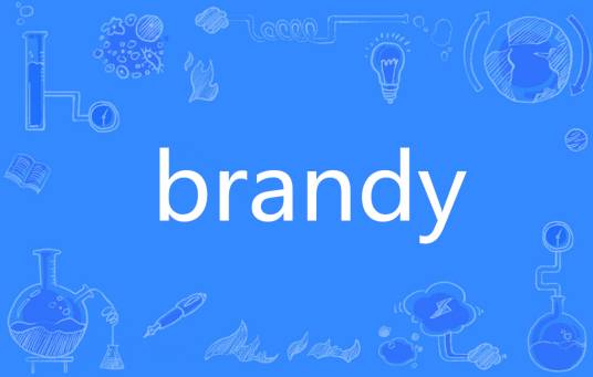 Brandy（英语单词）_百度百科