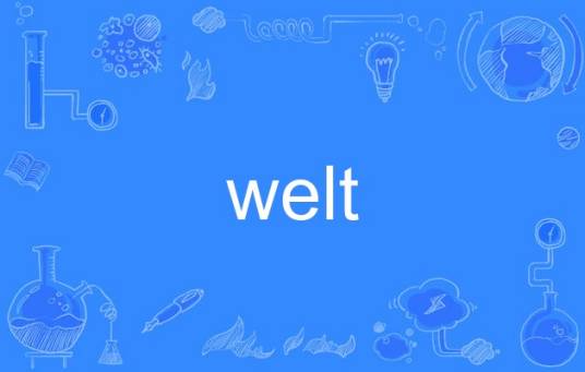welt_百度百科