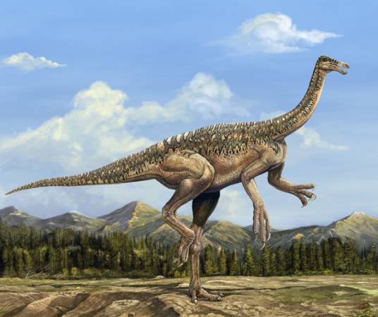 神州龙_百度百科