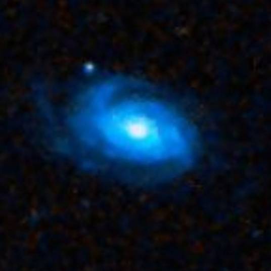 NGC 3016_百度百科