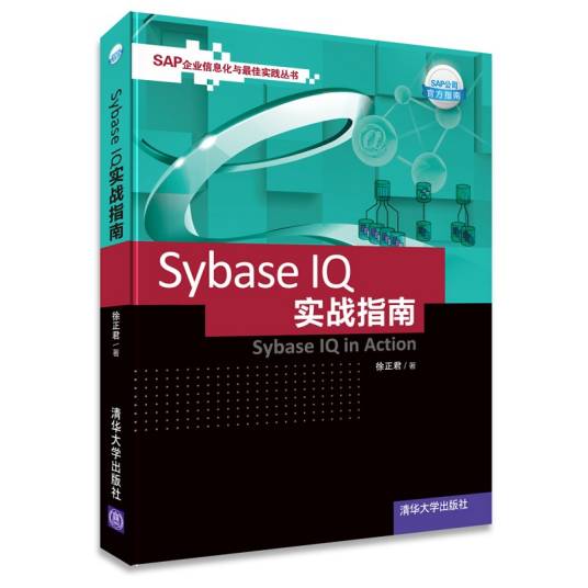 Sybase IQ 实战指南_百度百科