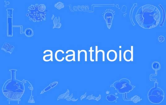 acanthoid_百度百科