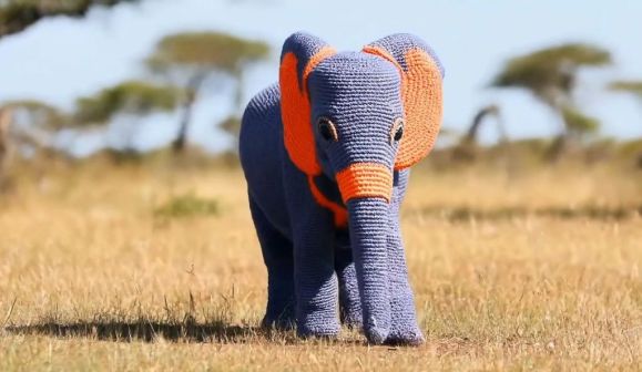 Veo（谷歌推出的AI视频生成模型）_百度百科