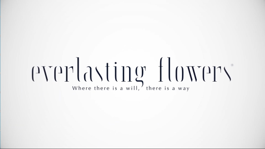 Everlasting Flowers_百度百科