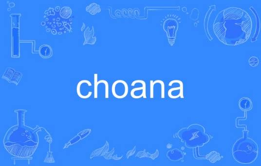 choana_百度百科
