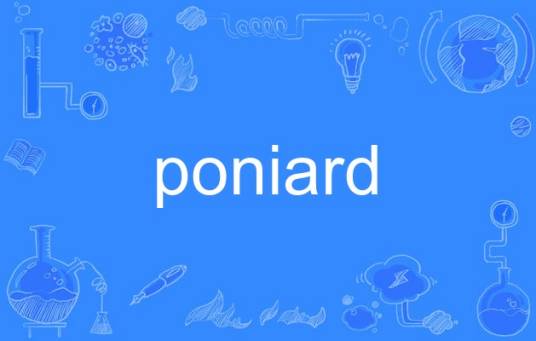poniard_百度百科