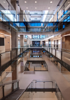 戴尔豪斯大学_百度百科